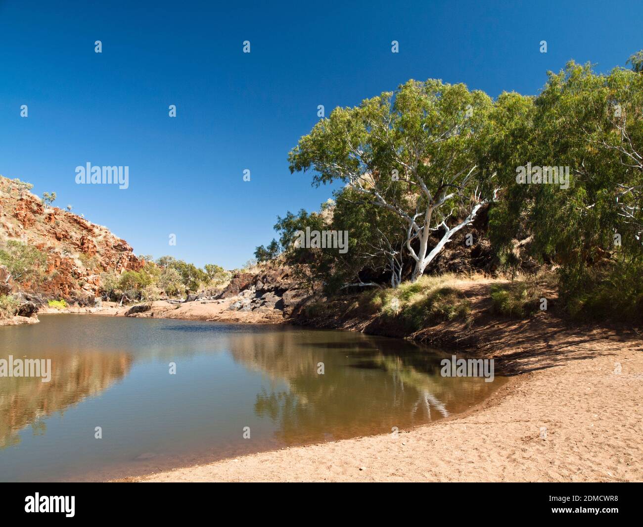 Caroline duncan hi-res stock photography and images - Alamy