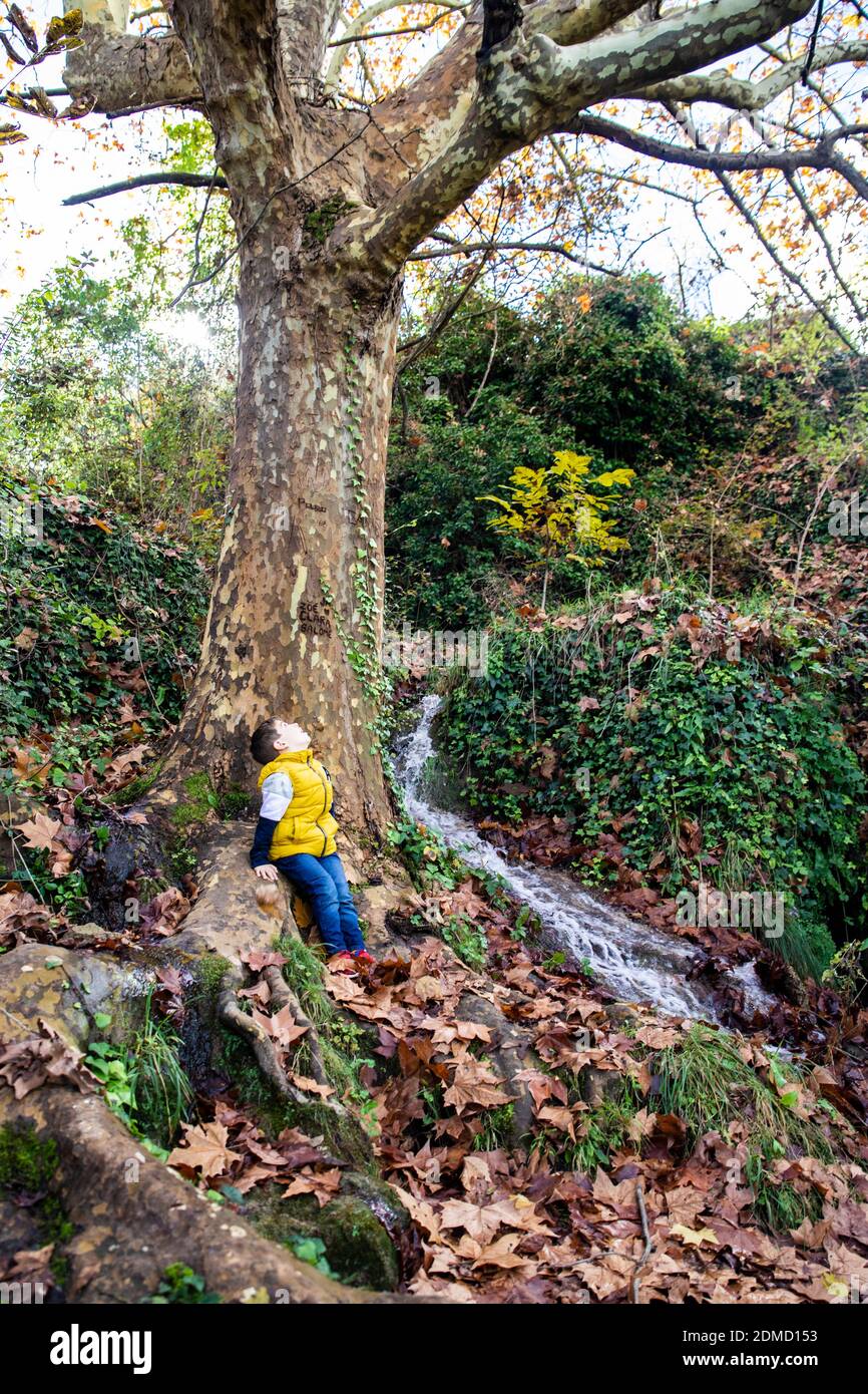 Boy sitting under big tree hi-res stock photography and images - Alamy
