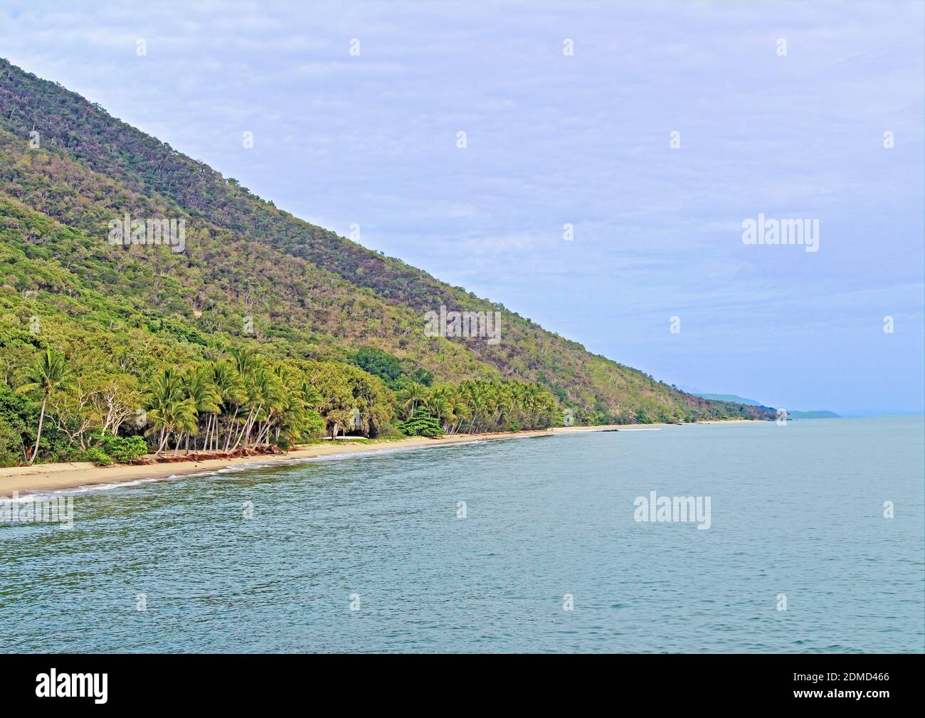The onshore view to Ellis Beach where the rainforest meets the sea ...