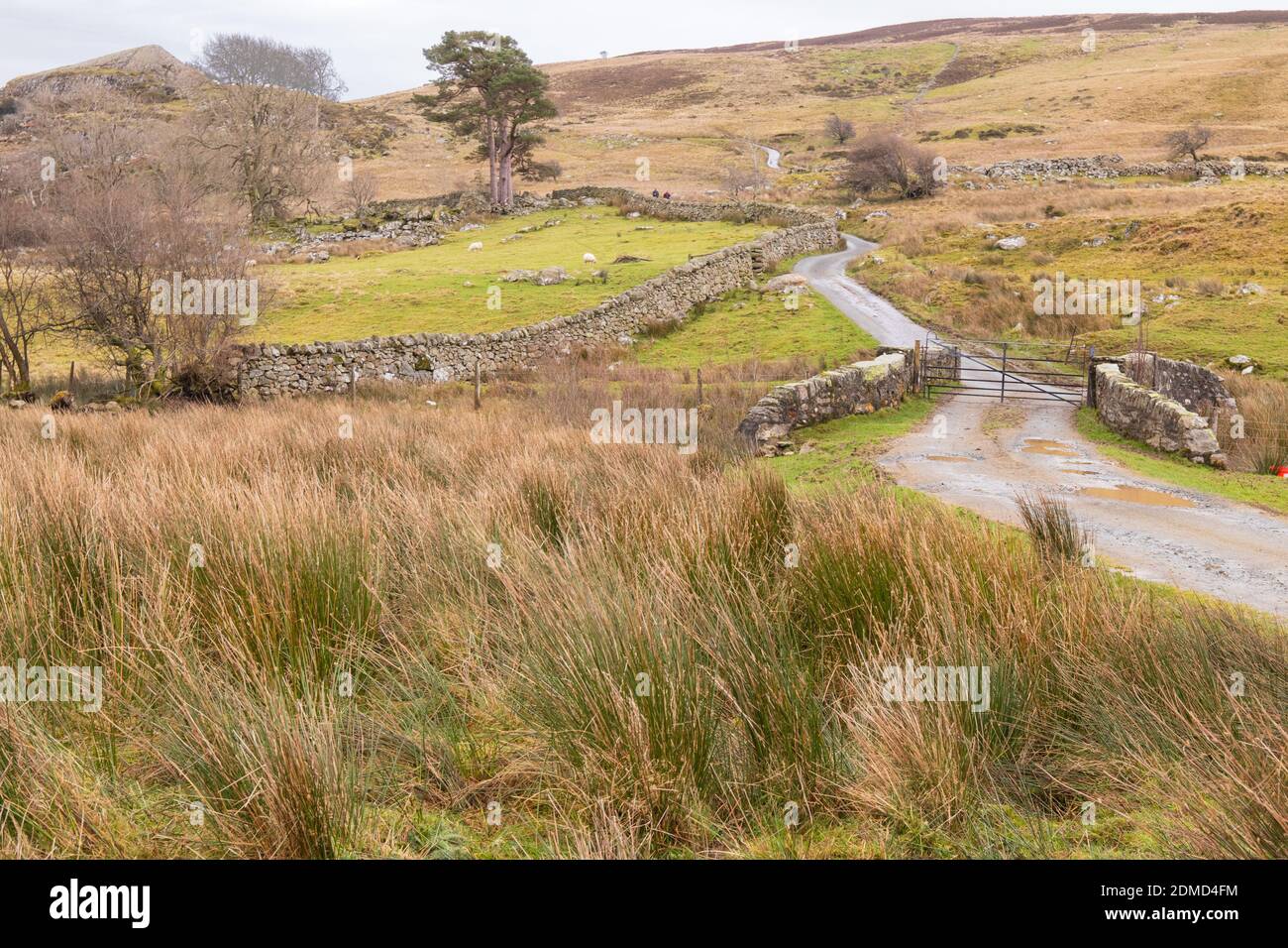 Farm gates stone walls hi-res stock photography and images - Alamy