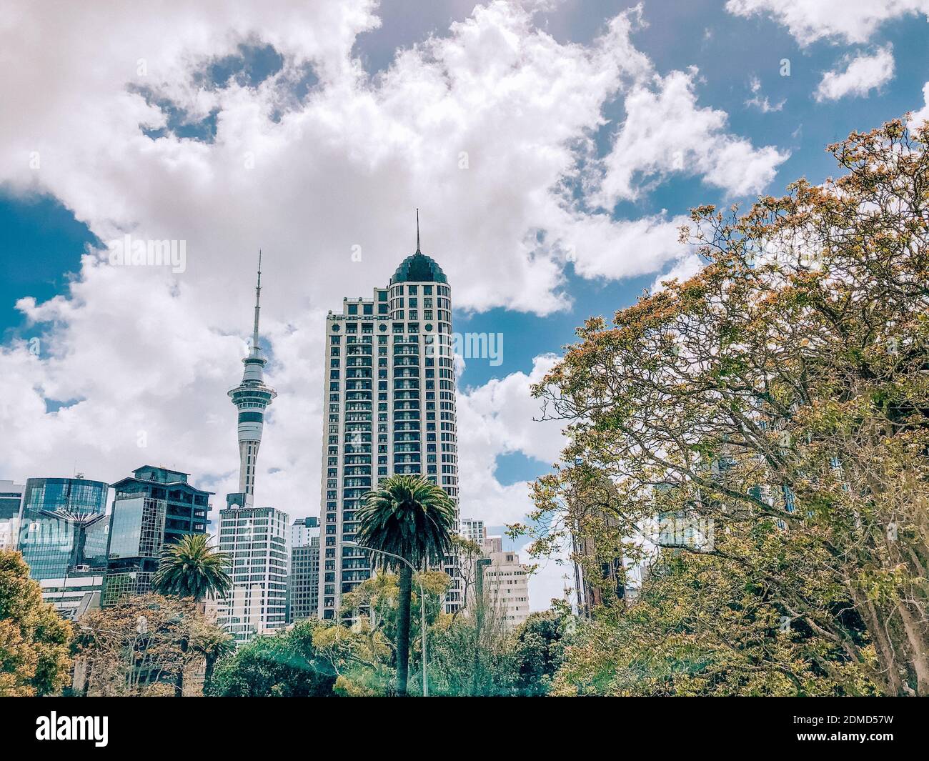 Tall buildings in auckland city hi-res stock photography and images - Alamy