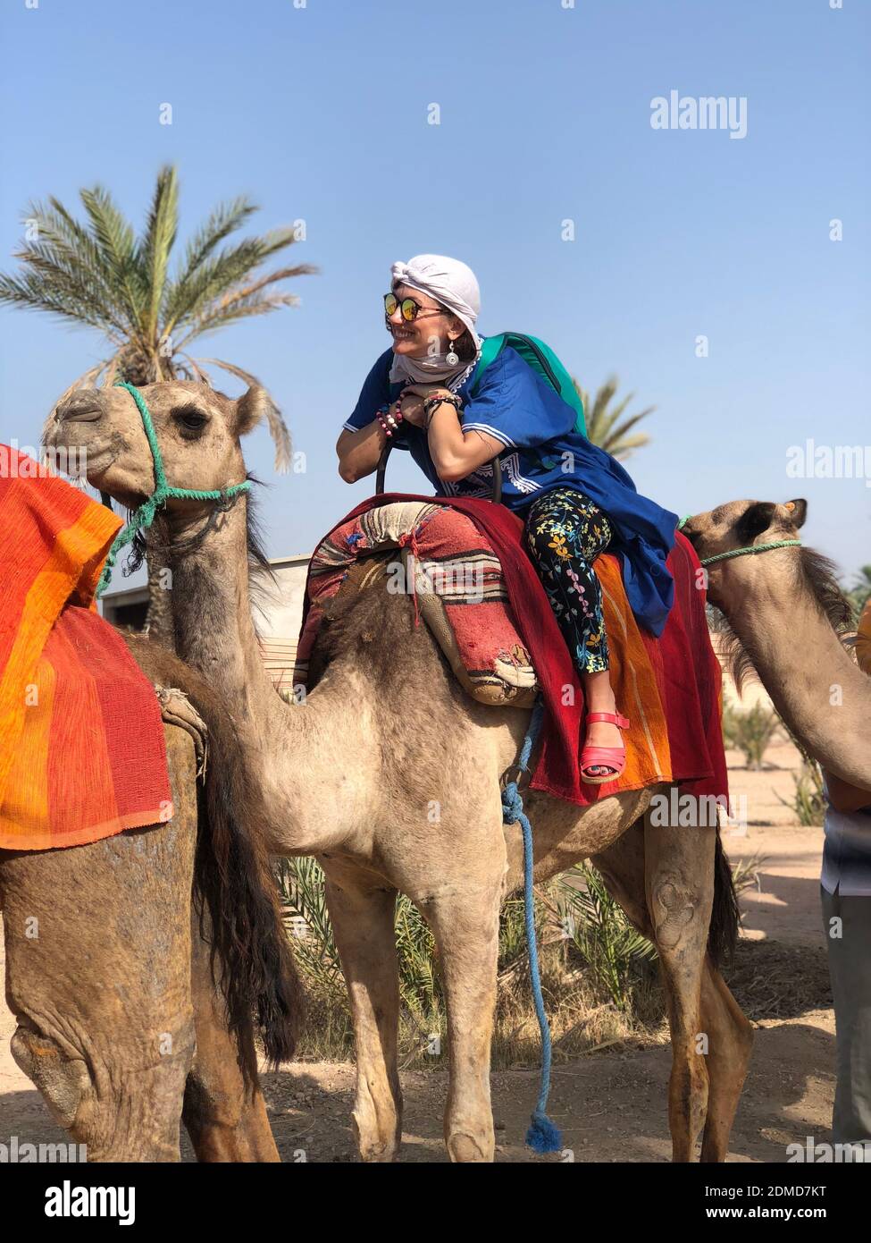 Caucasian woman riding camel hi-res stock photography and images - Alamy