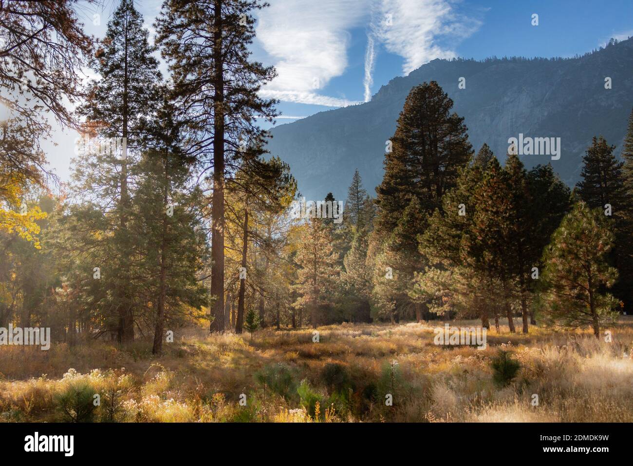 Scenic fall colors in Yosemite Valley with a meadow and trees Stock ...