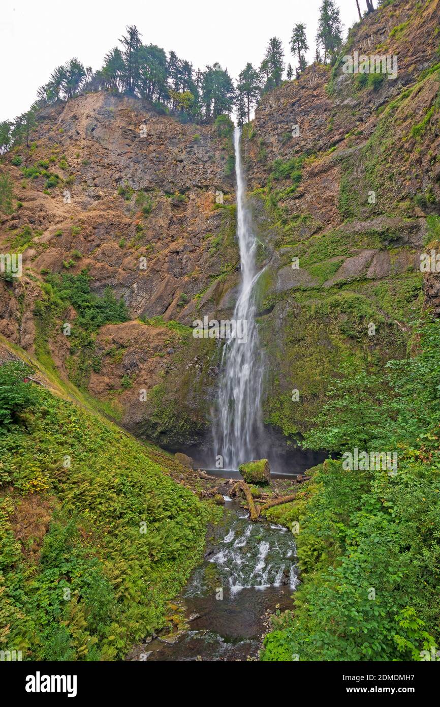 Delicate Cascade of Upper Multnomah Falls Coming Over a Volcanic Cliff ...