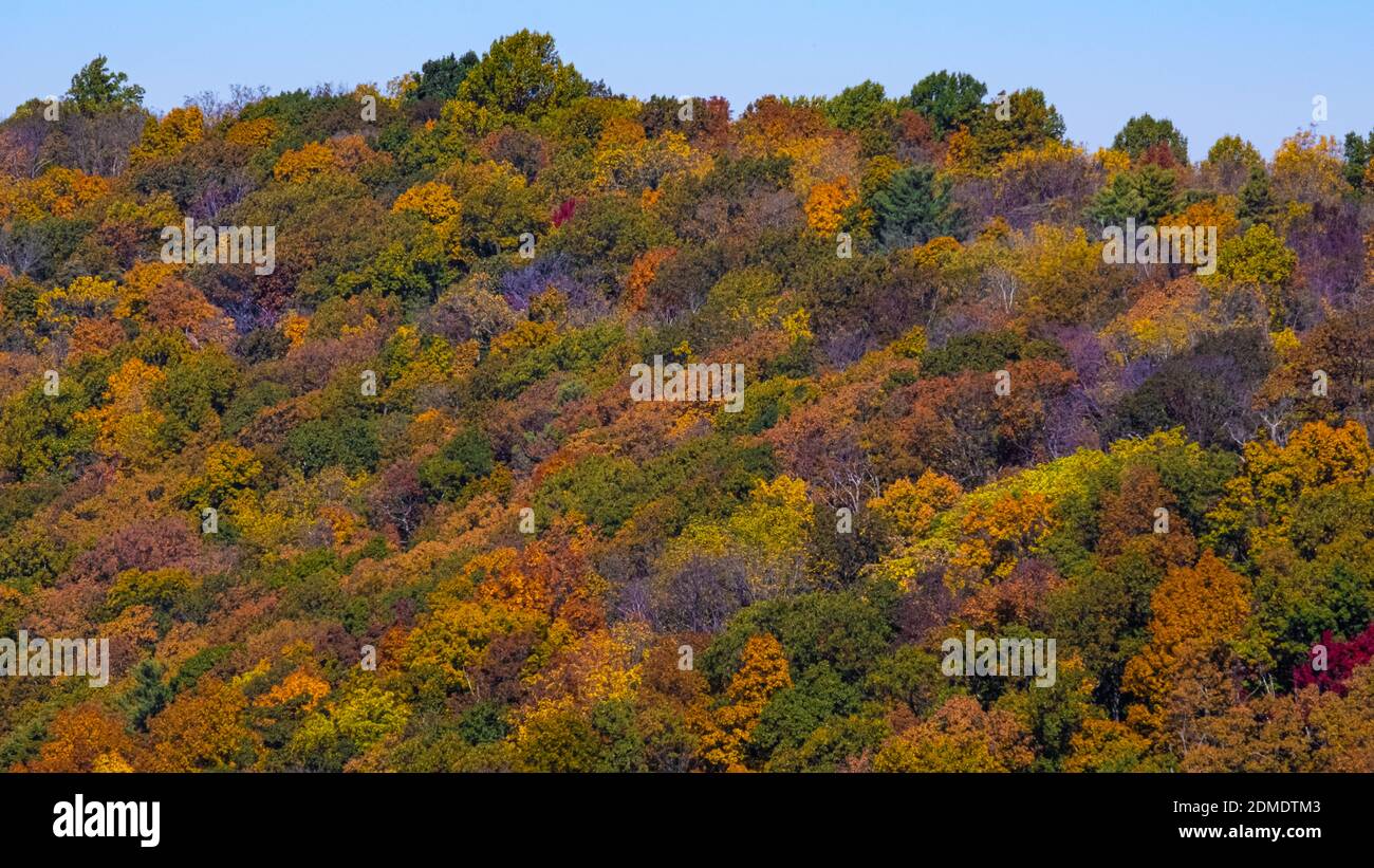 Autumn Color in Virginia Stock Photo - Alamy