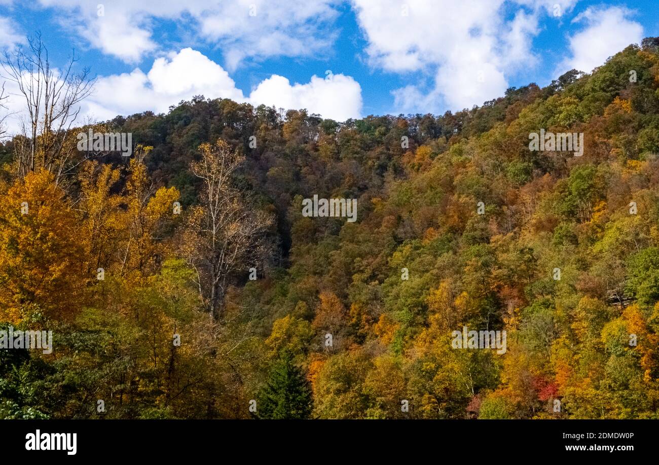 Autumn Color in Virginia Stock Photo - Alamy
