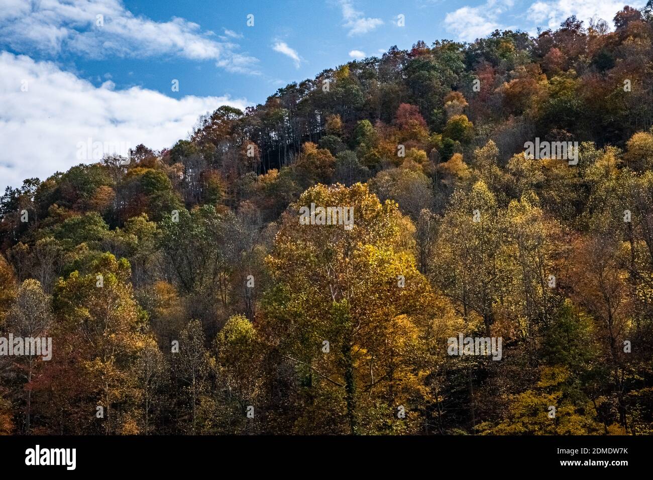 Autumn Color in Virginia Stock Photo - Alamy
