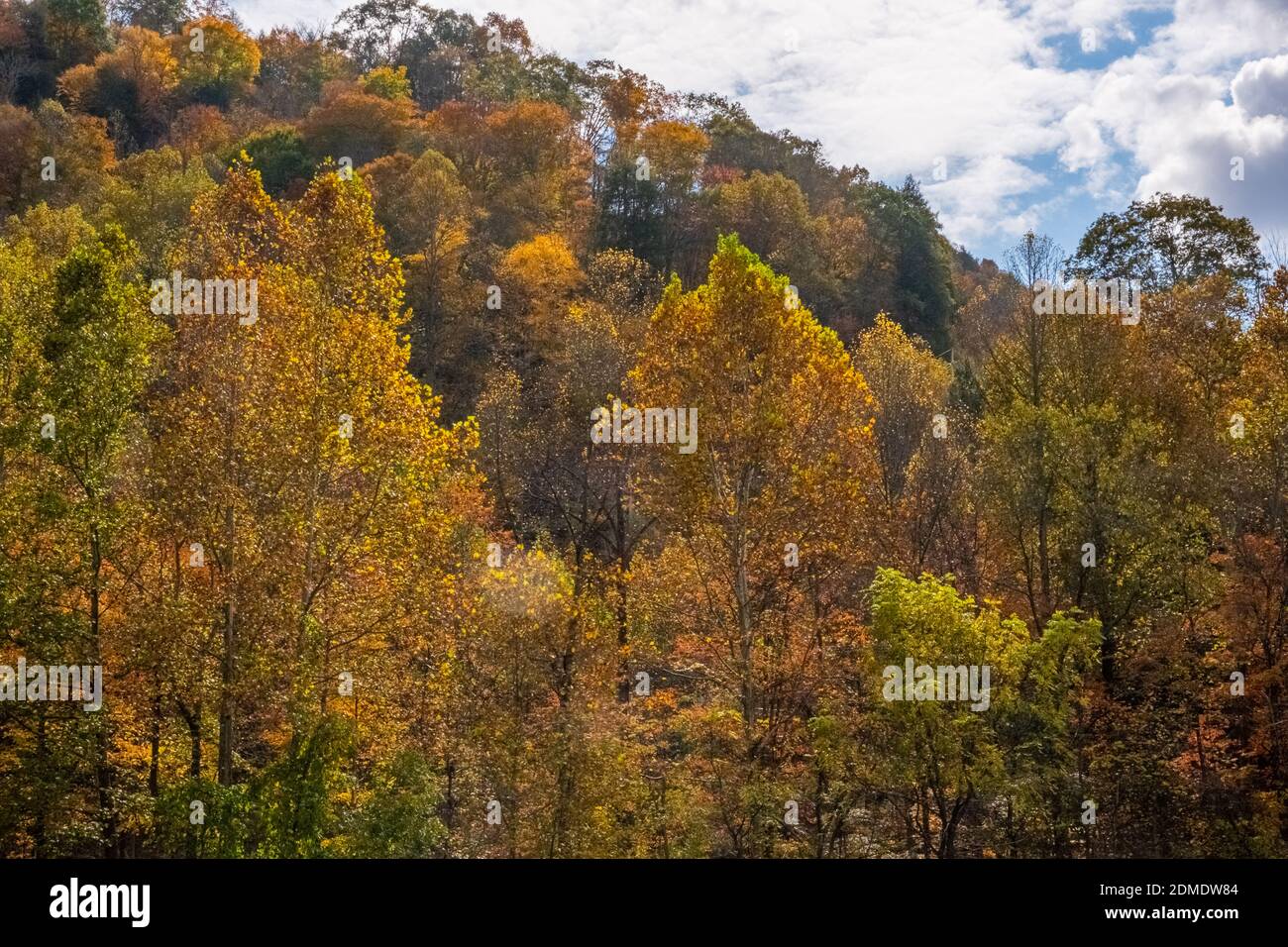 Autumn Color in Virginia Stock Photo - Alamy