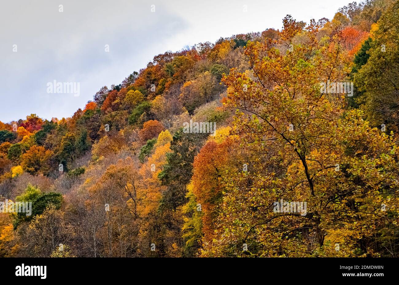 Autumn Color in Virginia Stock Photo - Alamy