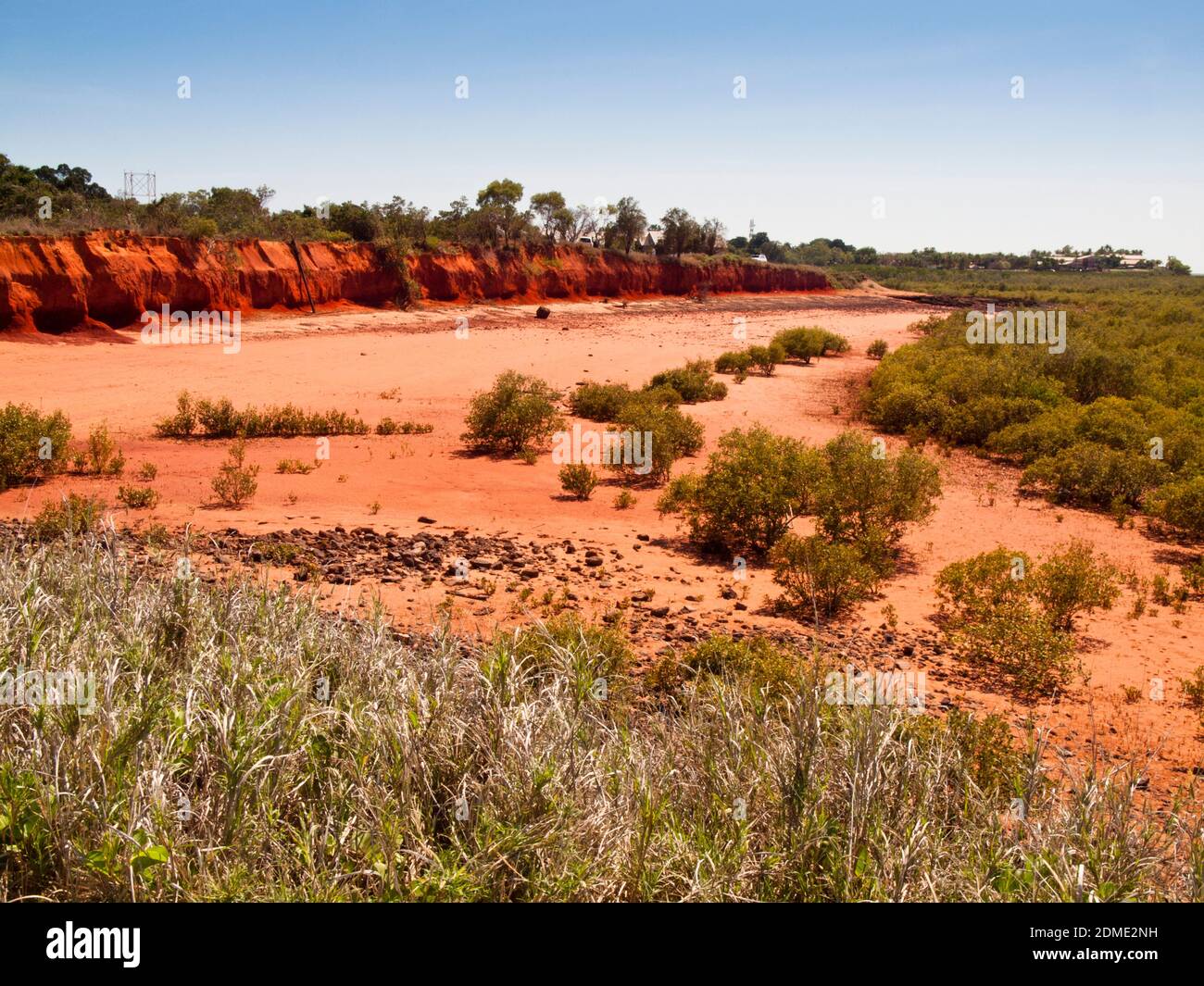 Mangroves at low tide, Roebuck Bay, Broome, Western Australia Stock ...