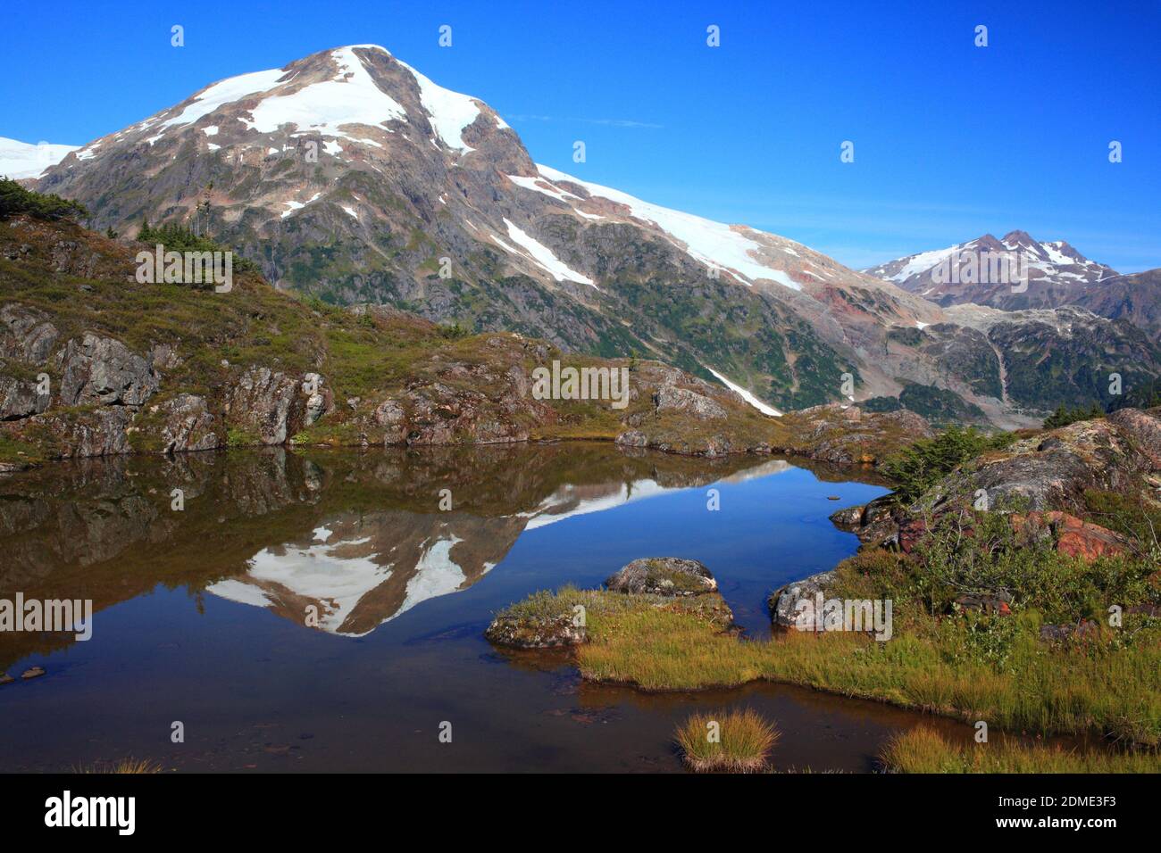 Wilderness of British Columbia Stock Photo - Alamy