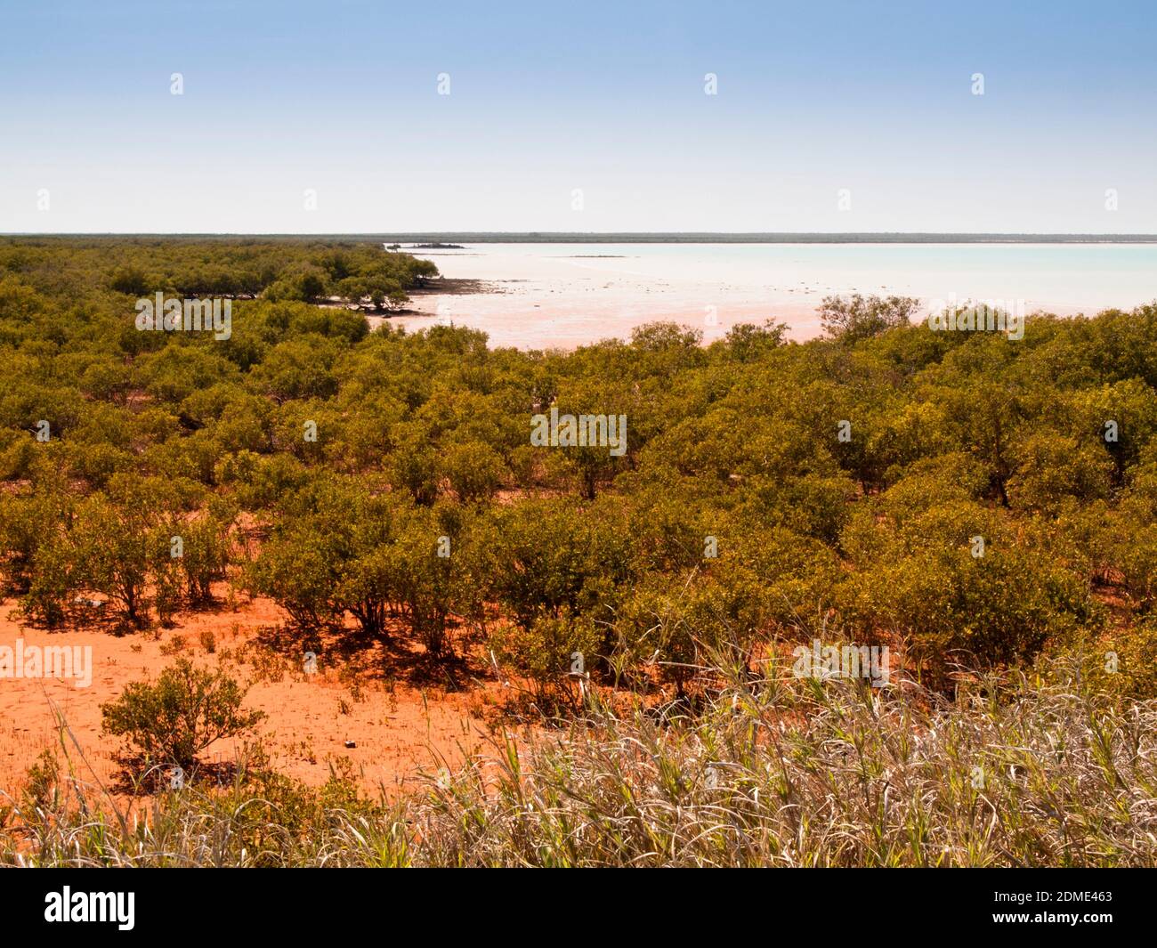 Mangroves at low tide, Roebuck Bay, Broome, Western Australia Stock ...