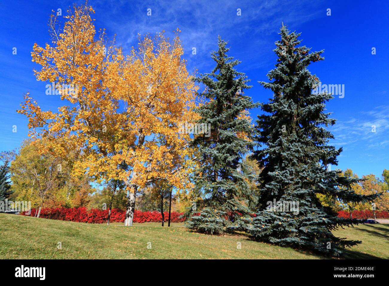 Autumn in Calgary Stock Photo - Alamy