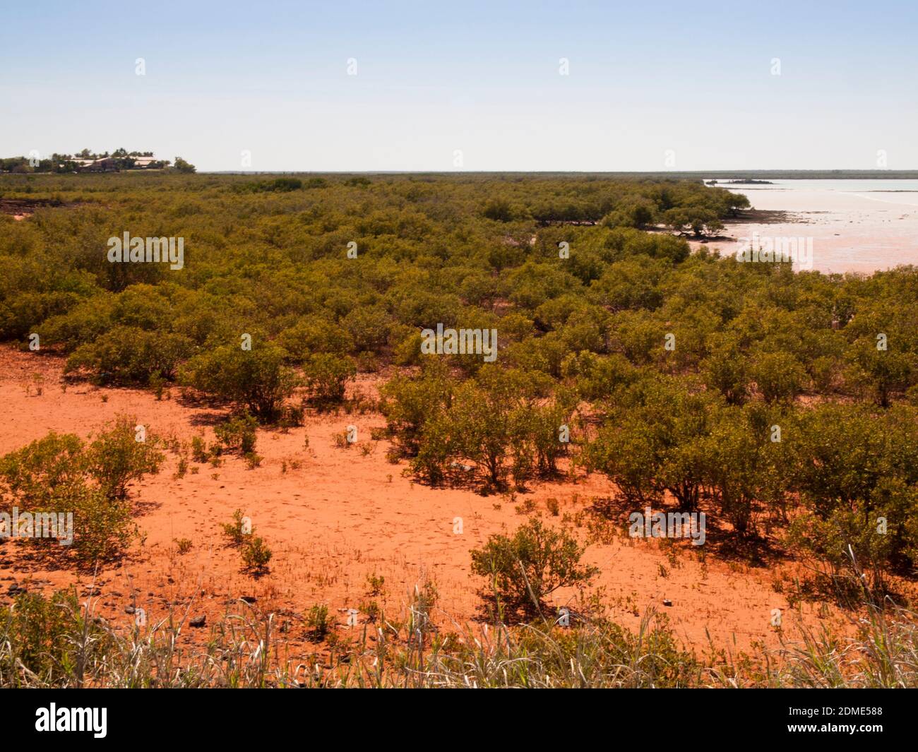 Mangroves at low tide, Roebuck Bay, Broome, Western Australia Stock ...