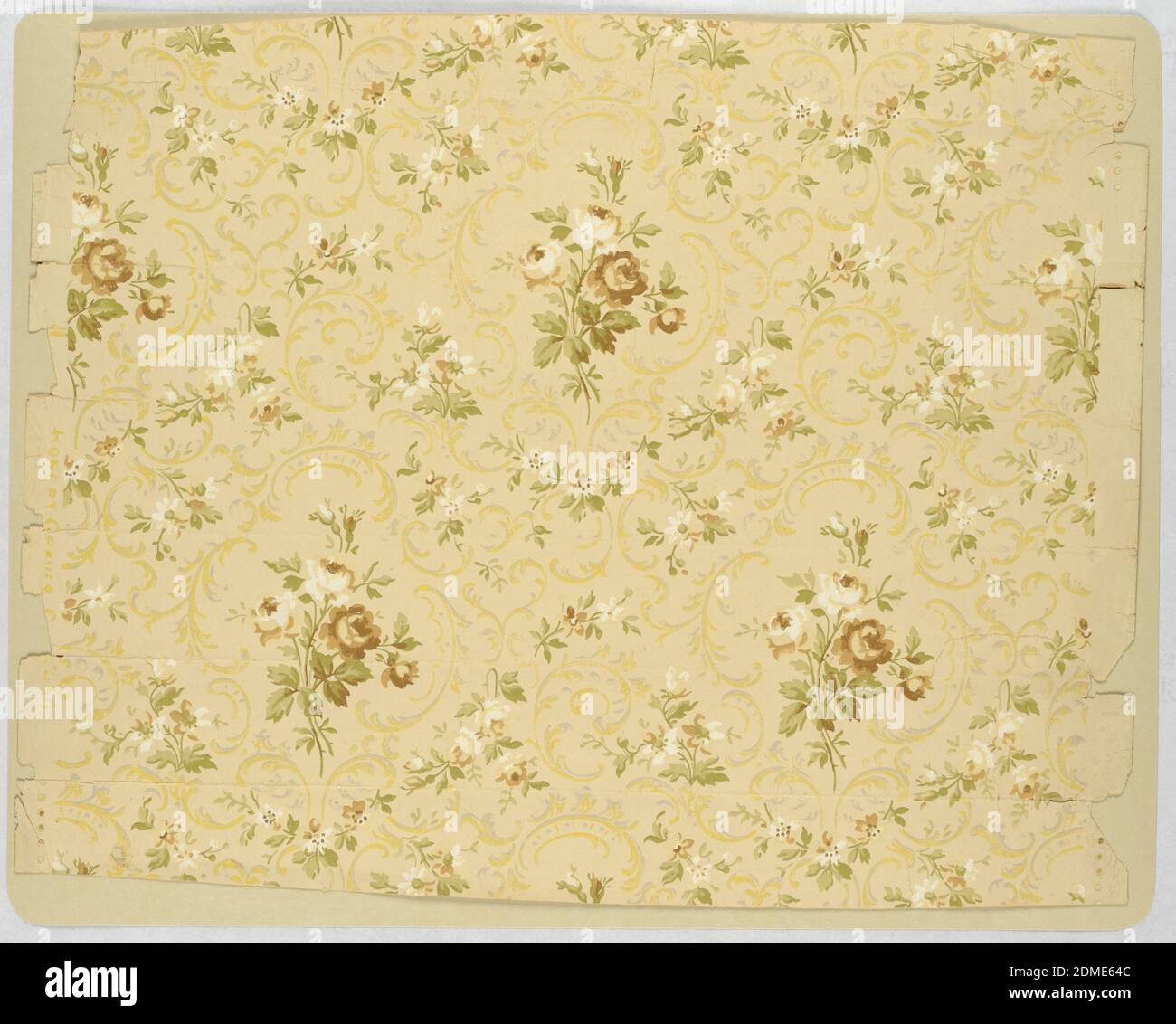 Robert rose hi-res stock photography and images - Alamy