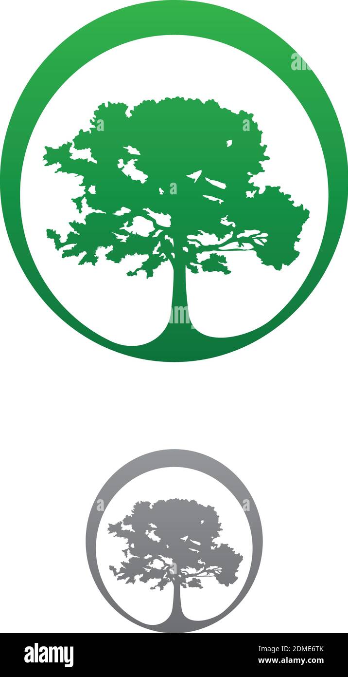 View simple tree with green leaves icon vector concept design. Flat ...