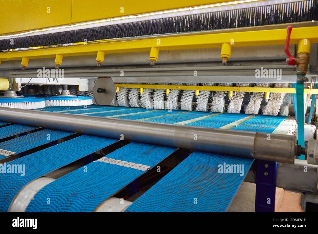 Automatic machine and equipment for carpet washing and dry cleaning ...