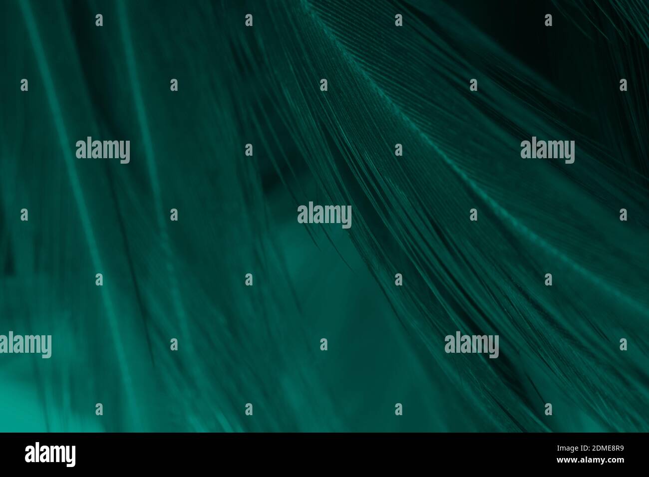 Viridian color hi-res stock photography and images - Alamy