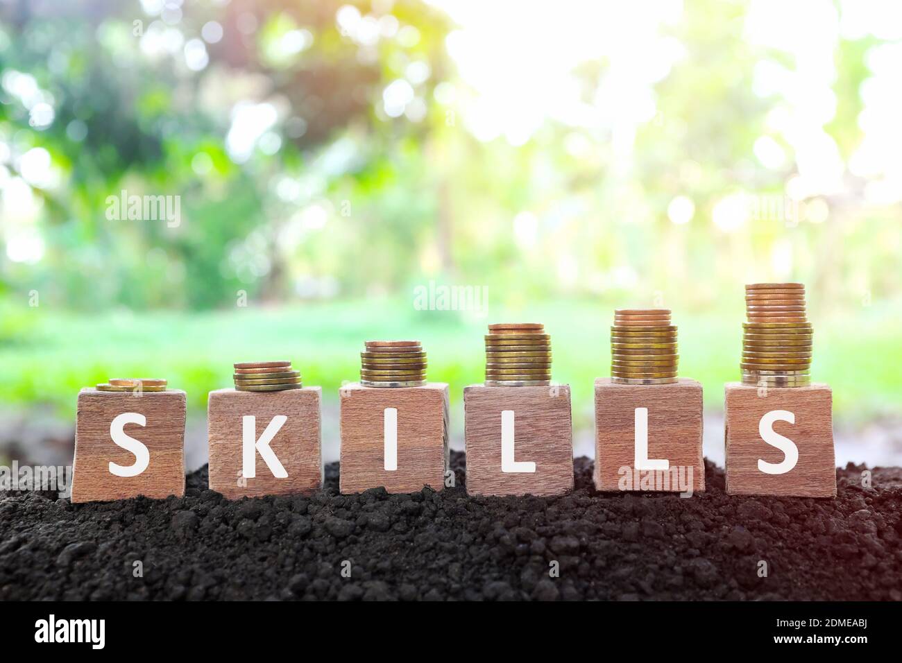 Increasing stack of coins with word skills on wooden blocks at sunrise ...