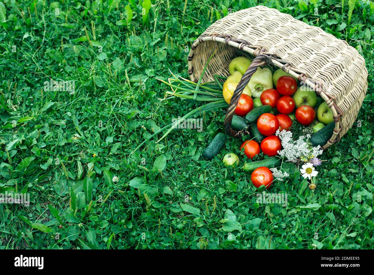 Basket fruits vegetables scattered hi-res stock photography and images ...