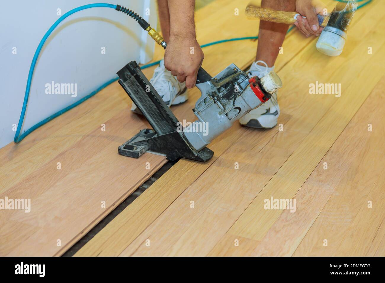 Renovation of carpenter worker installing wood parquet during flooring ...