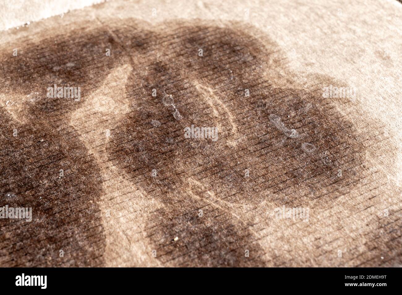 single use cardboard that is nonrecyclable because of the food residue ...