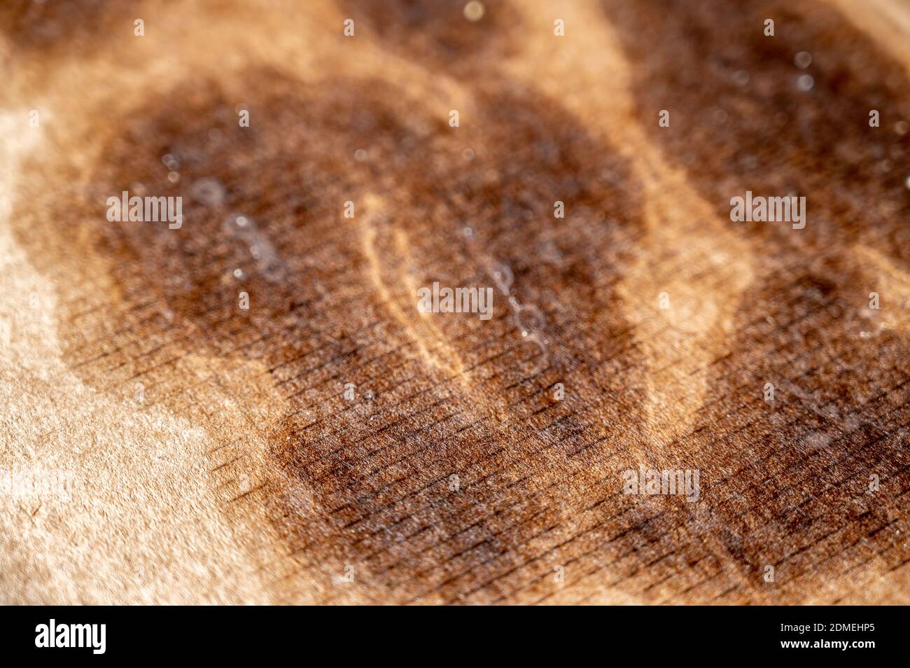 single use cardboard that is nonrecyclable because of the food residue ...