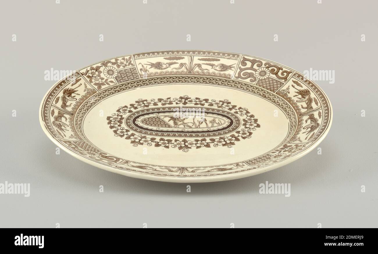 Geometric patterns in plants hi-res stock photography and images - Alamy