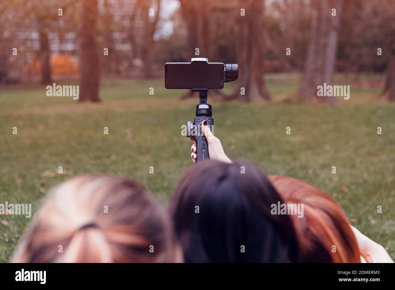 Gimbal tree hi-res stock photography and images - Alamy