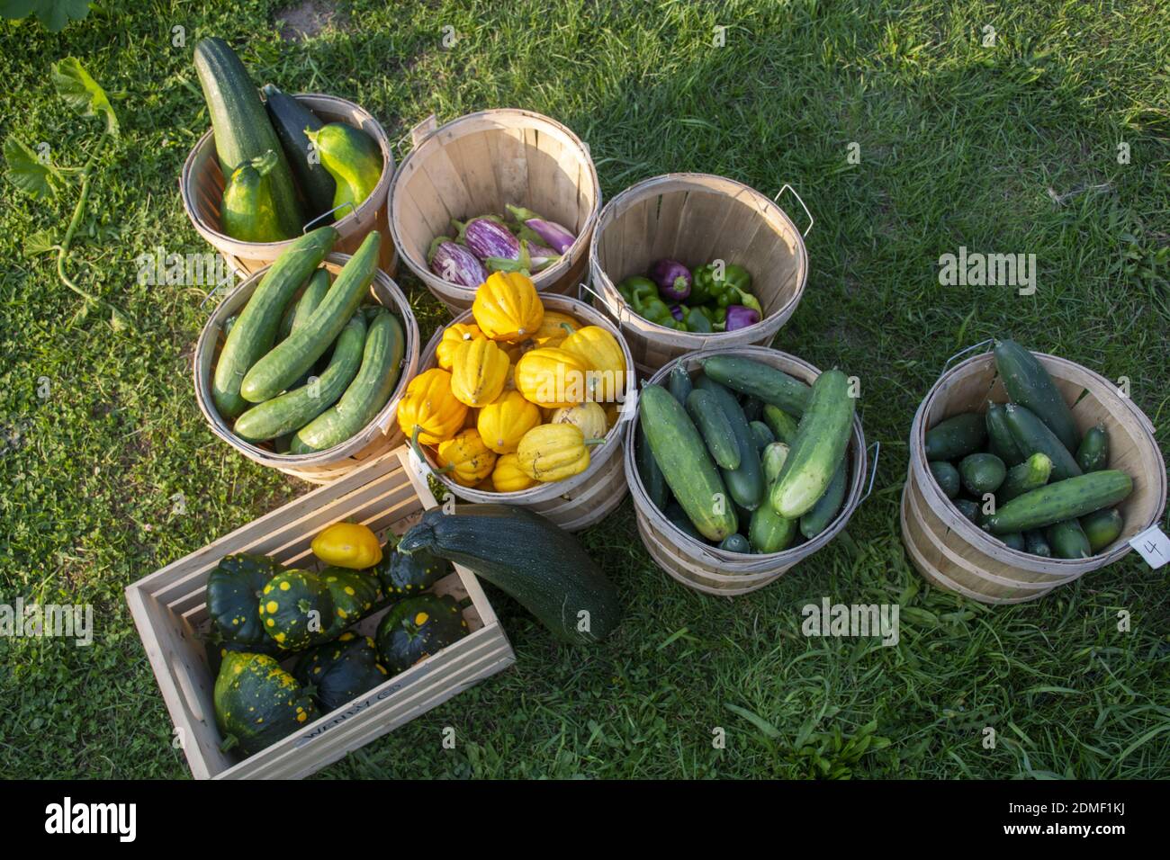 Bucket vegetables on grass hi-res stock photography and images - Alamy