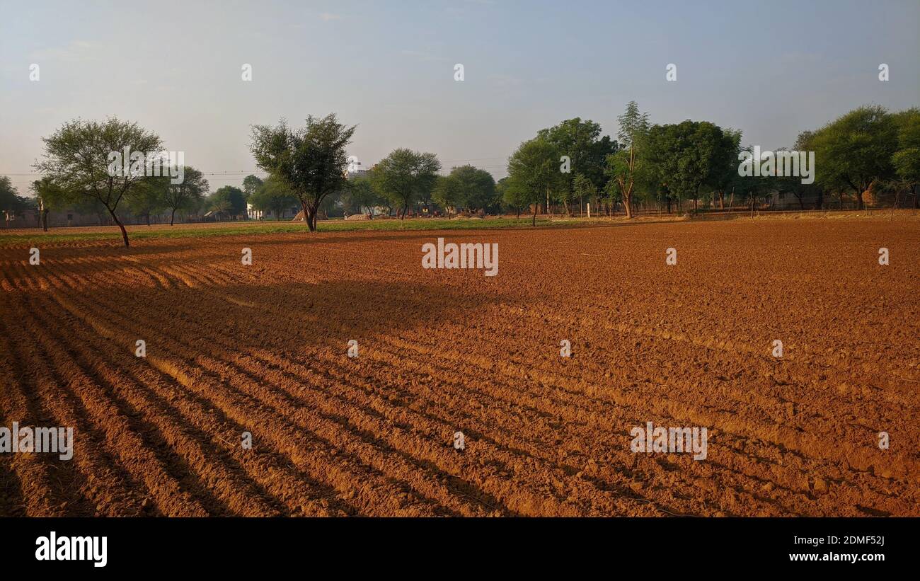 the brown cultivated cropland under the sunlight - green trees ...