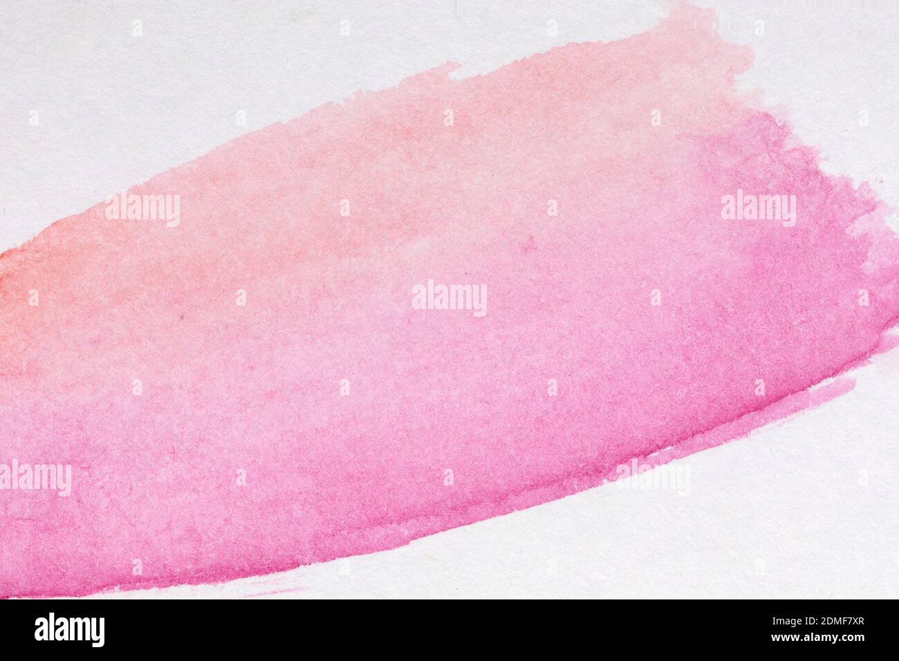 Close up of pink paint strokes. Red watercolor spot on white background ...
