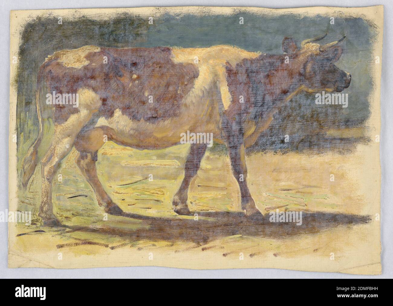 Study of a Standing Cow, Samuel Colman, American, 1832–1920, Brush and ...