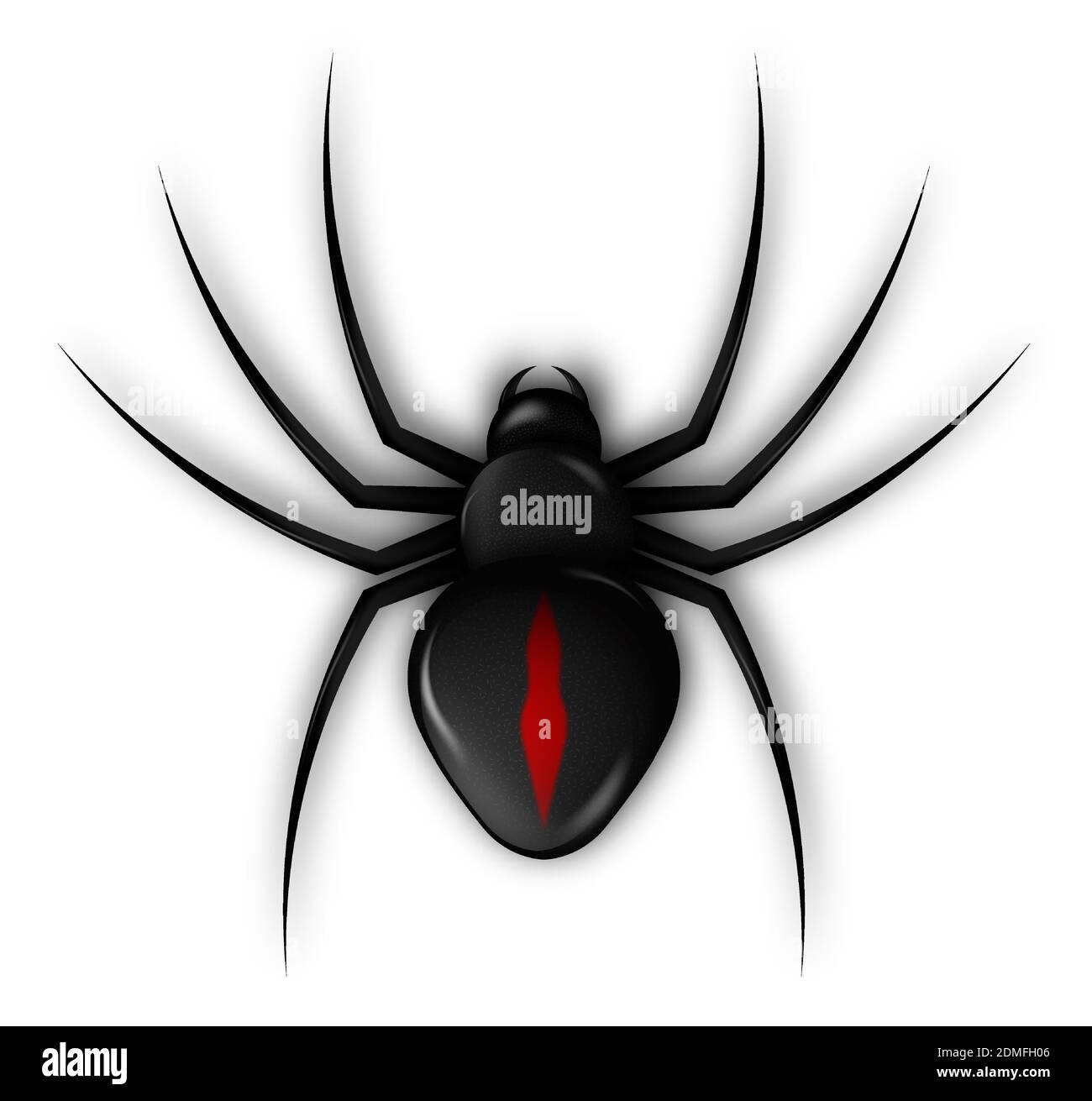 spider icon for Halloween web banner decoration. Dangerous poisonous ...