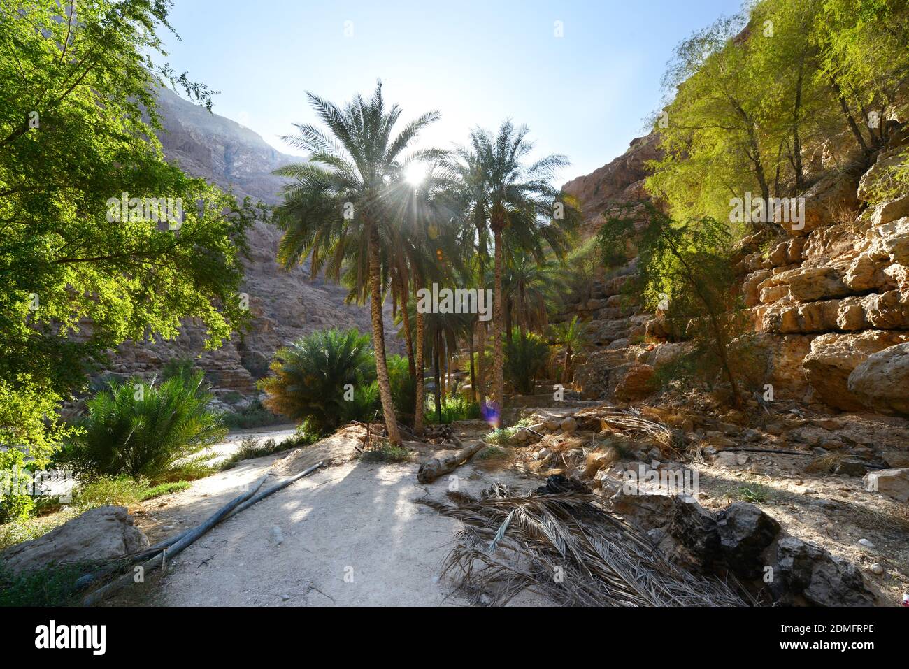 The beautiful Wadi Shab in Oman Stock Photo - Alamy