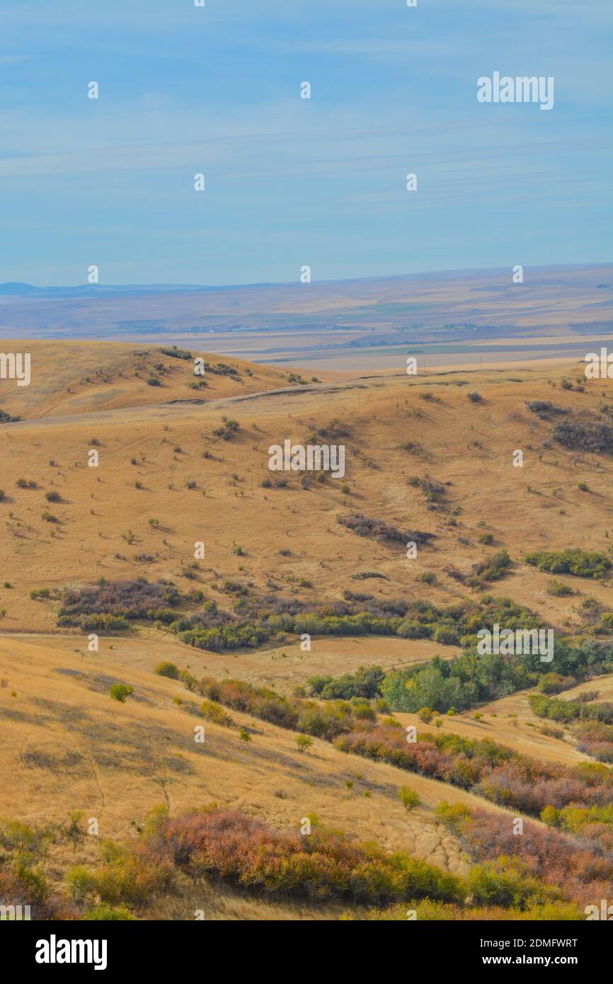 The landscape of the Blue Mountains in northeastern Oregon Stock Photo ...