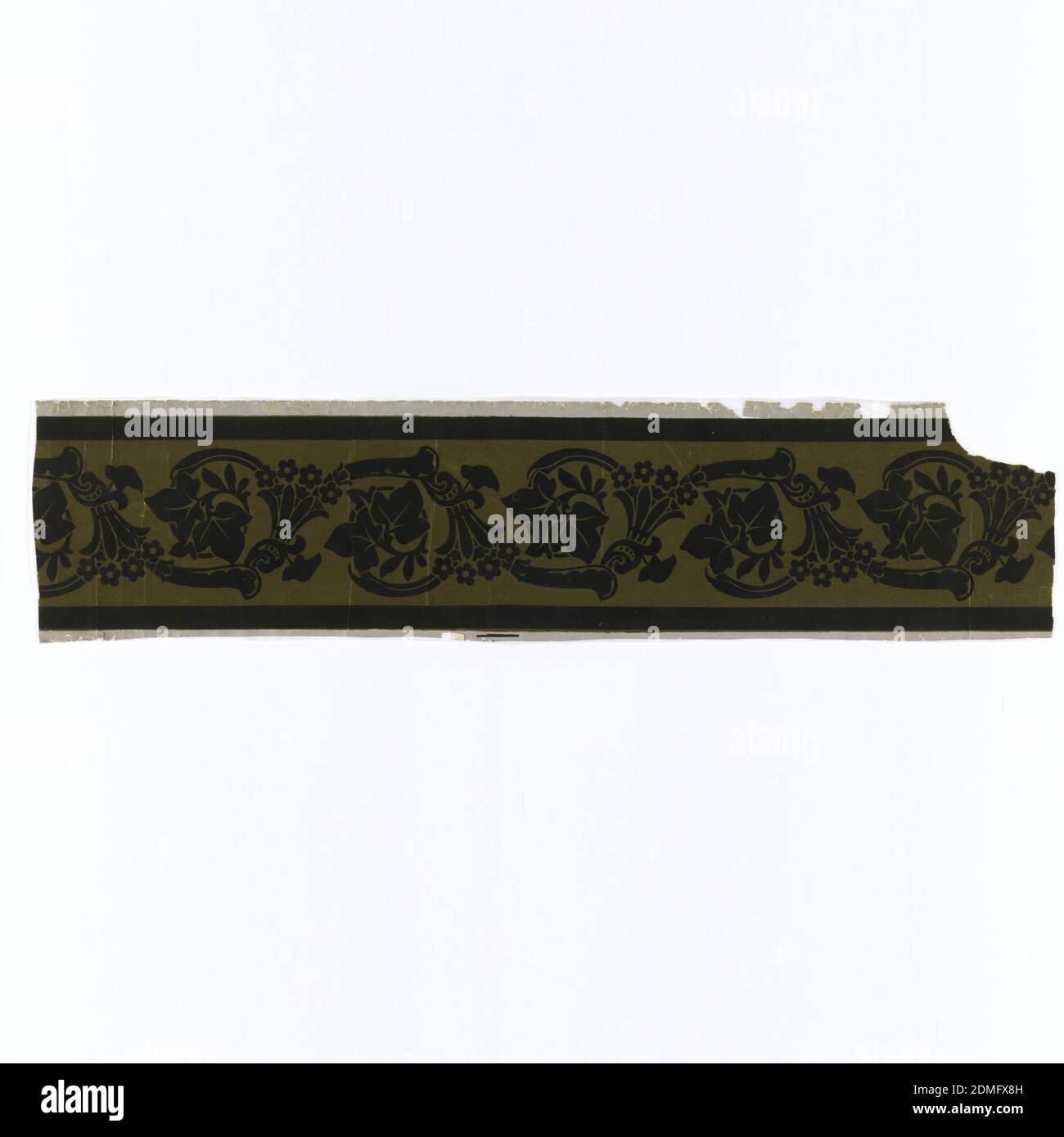 Ivy leaves combine hi-res stock photography and images - Alamy