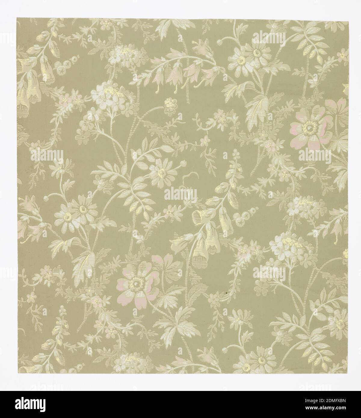 Naturalistic colors hi-res stock photography and images - Alamy