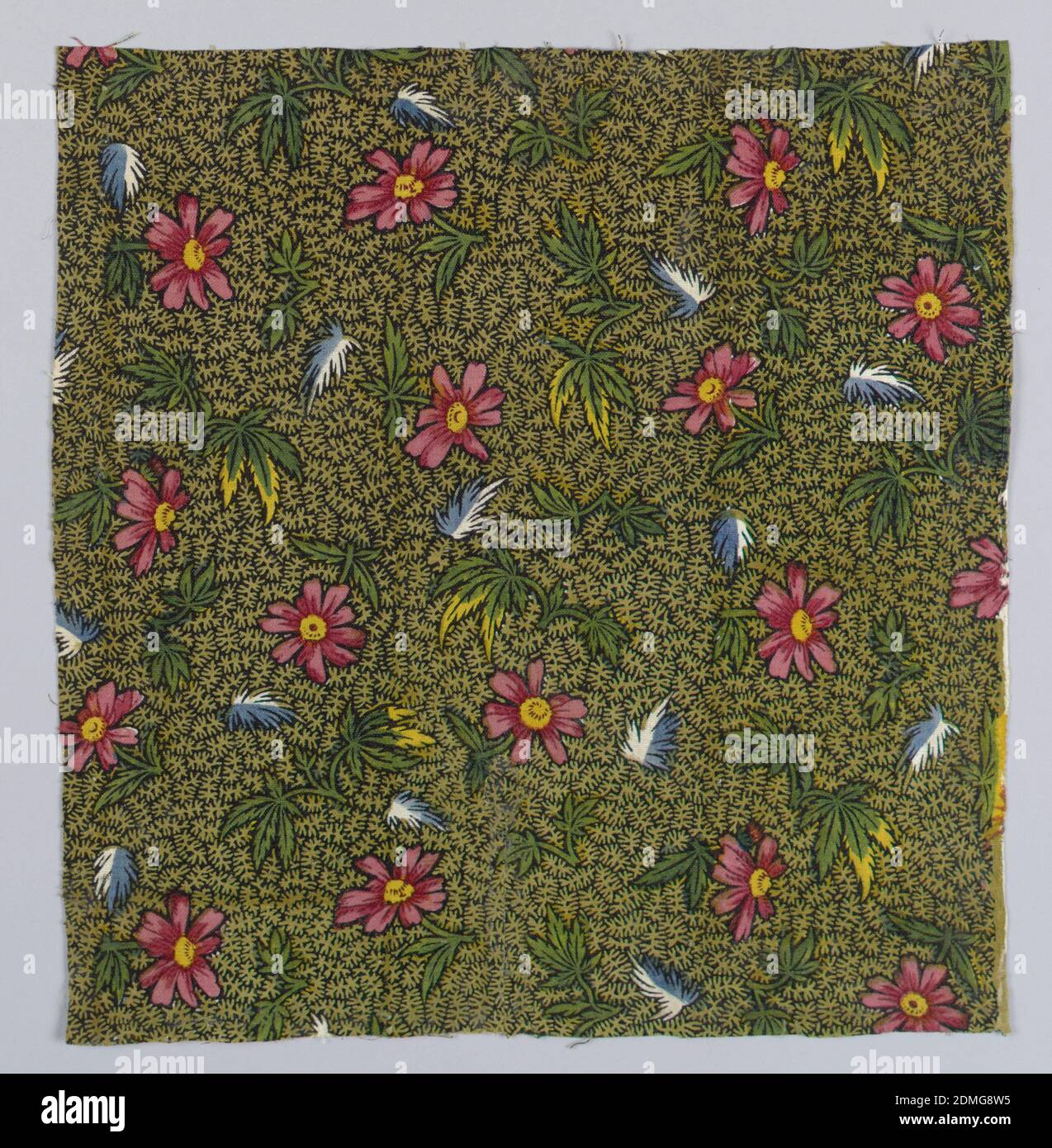 Tiny black flowers hi-res stock photography and images - Alamy