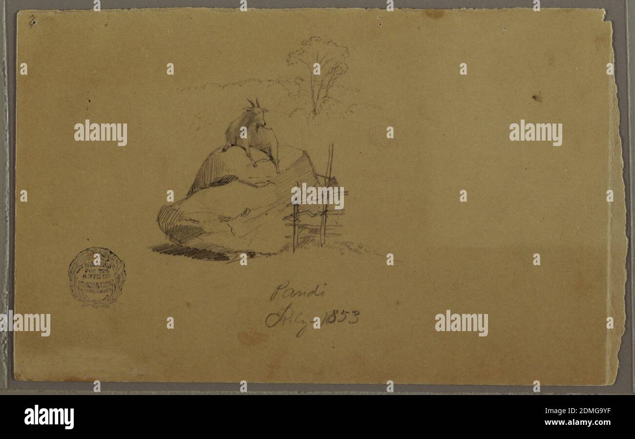 A Goat in Pandi, Colombia, Frederic Edwin Church, American, 1826–1900 ...