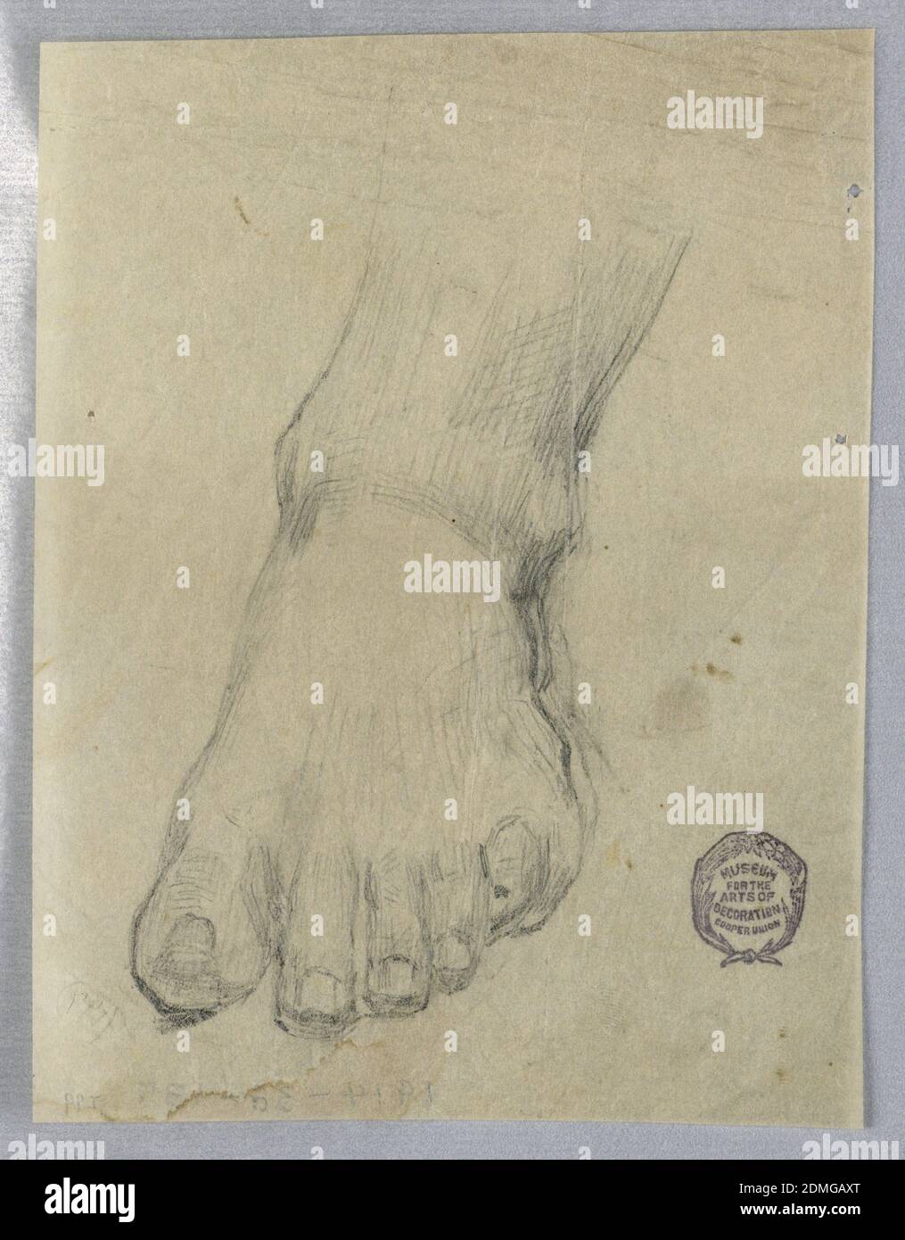 Study of a foot hi-res stock photography and images - Alamy
