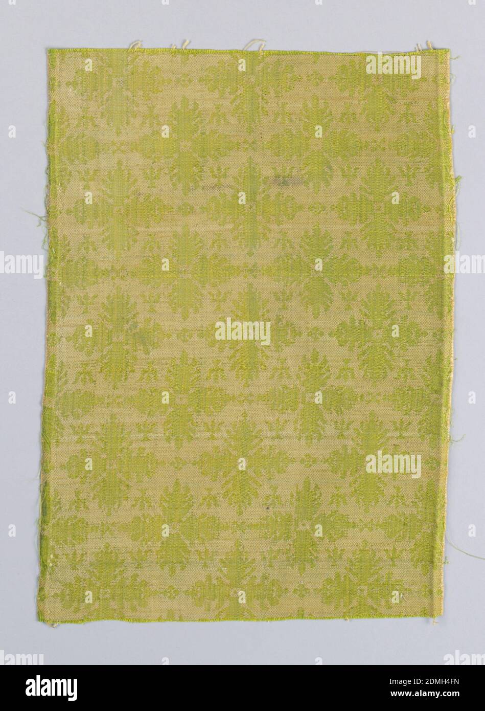 Broken toothed hi-res stock photography and images - Alamy