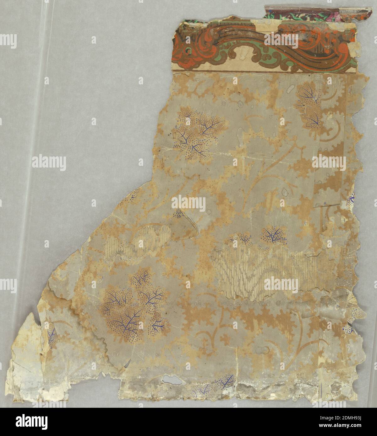 Represent veining hi-res stock photography and images - Alamy