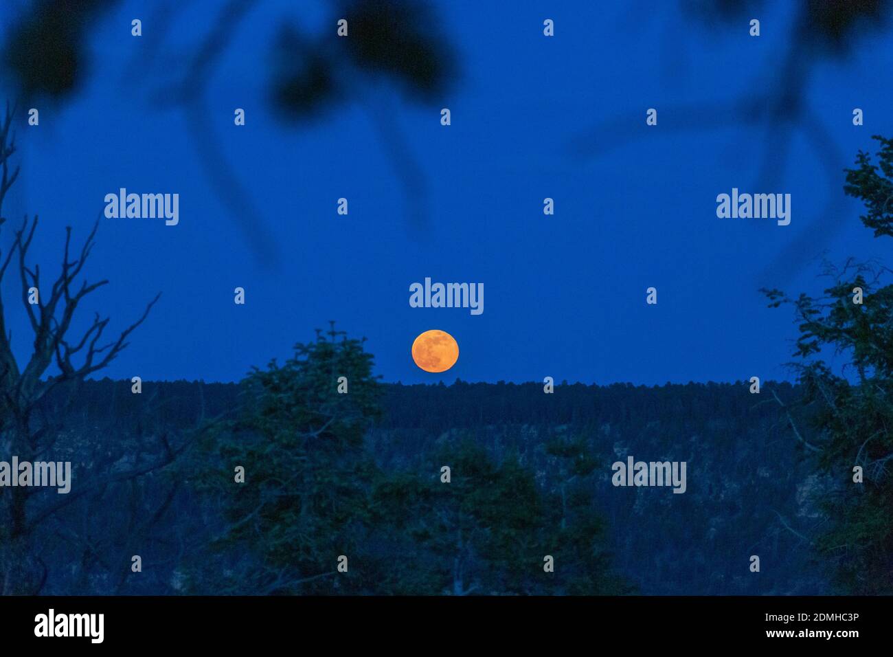 Dusk in the desert hi-res stock photography and images - Alamy