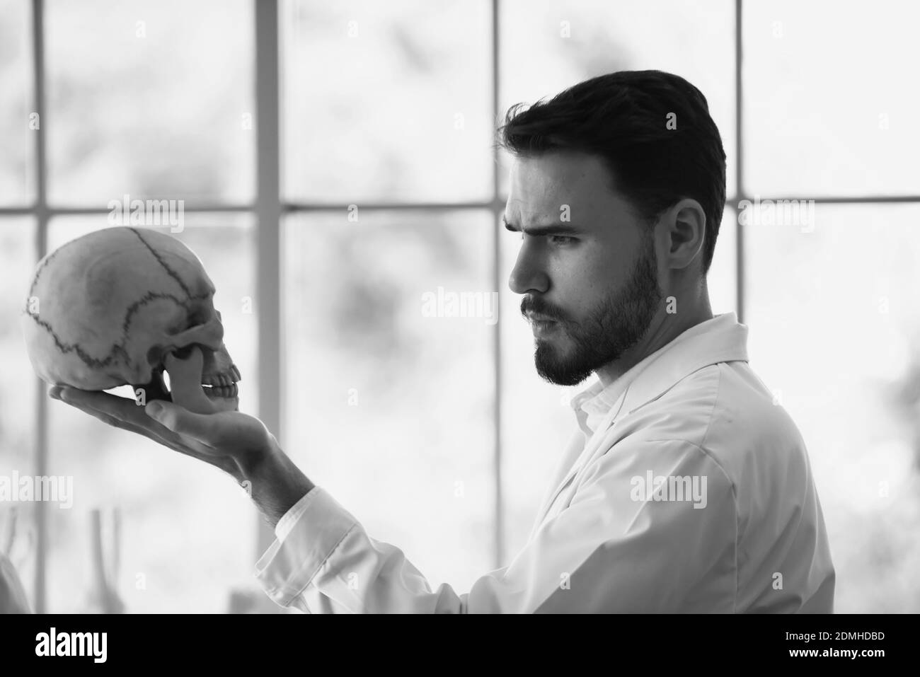 Scientist skull lab hi-res stock photography and images - Alamy