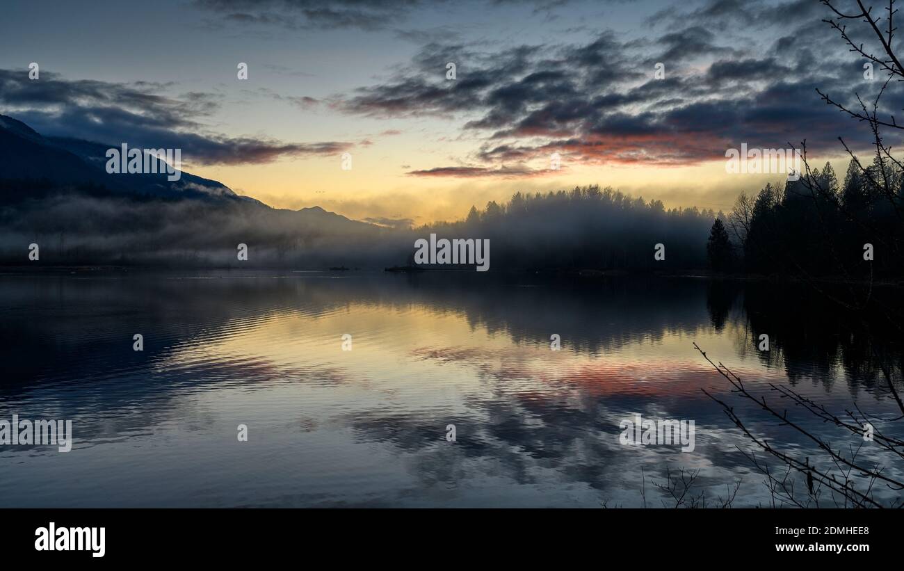 Habitation british birds hi-res stock photography and images - Alamy