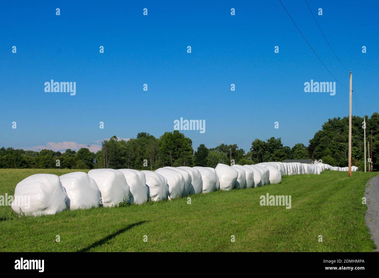 Packed hay rolls in white plastic on the meadow hi-res stock ...