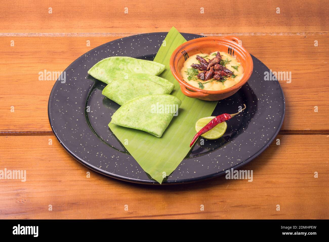 A traditional Mexican food gourmet crickets with cheese, corn tortillas ...