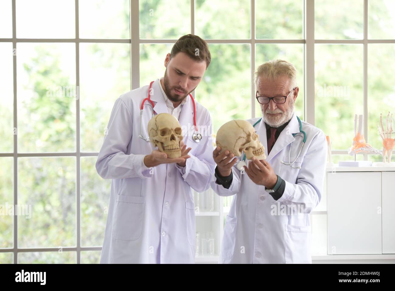 Examining skulls hi-res stock photography and images - Alamy