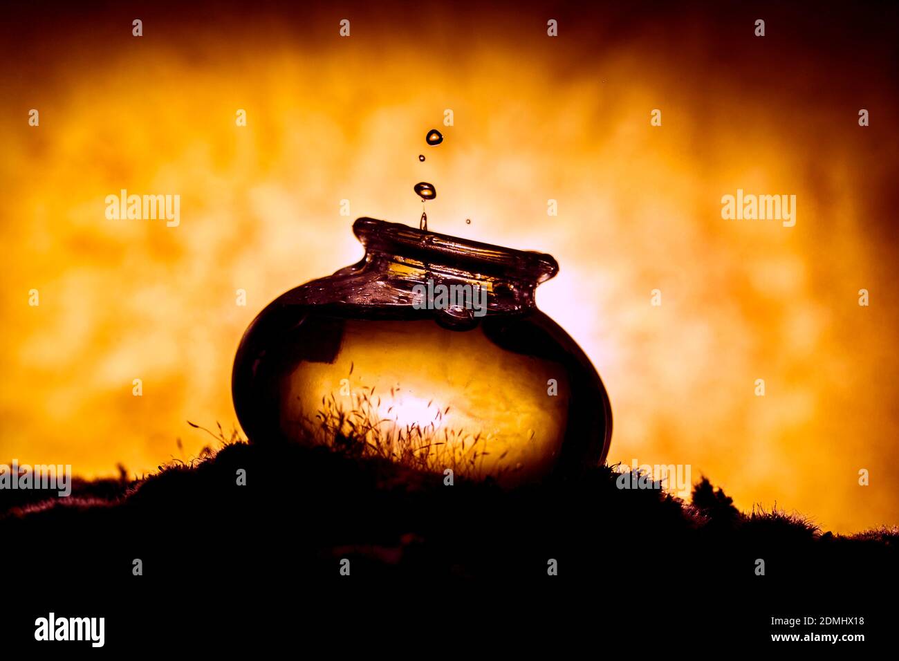 Round perfume bottle hi-res stock photography and images - Alamy